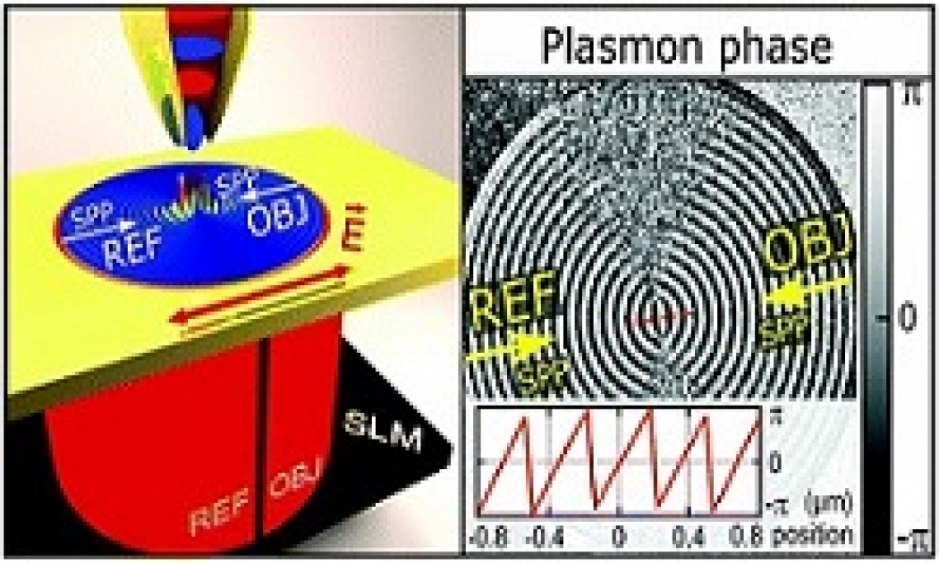 Published paper "Near-field digital holography: a tool for plasmon ...